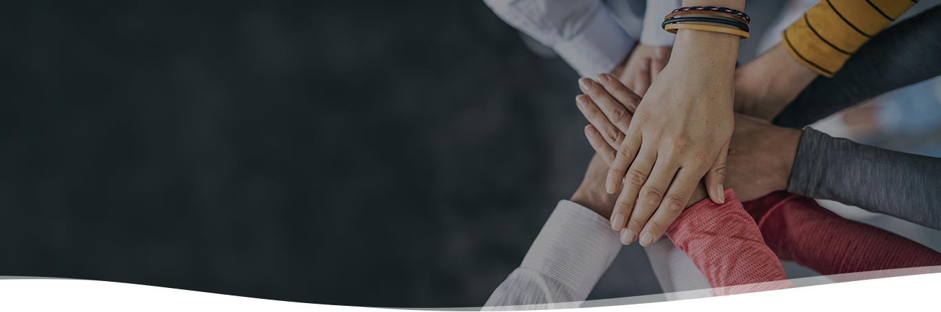 Our Team – Bugworks