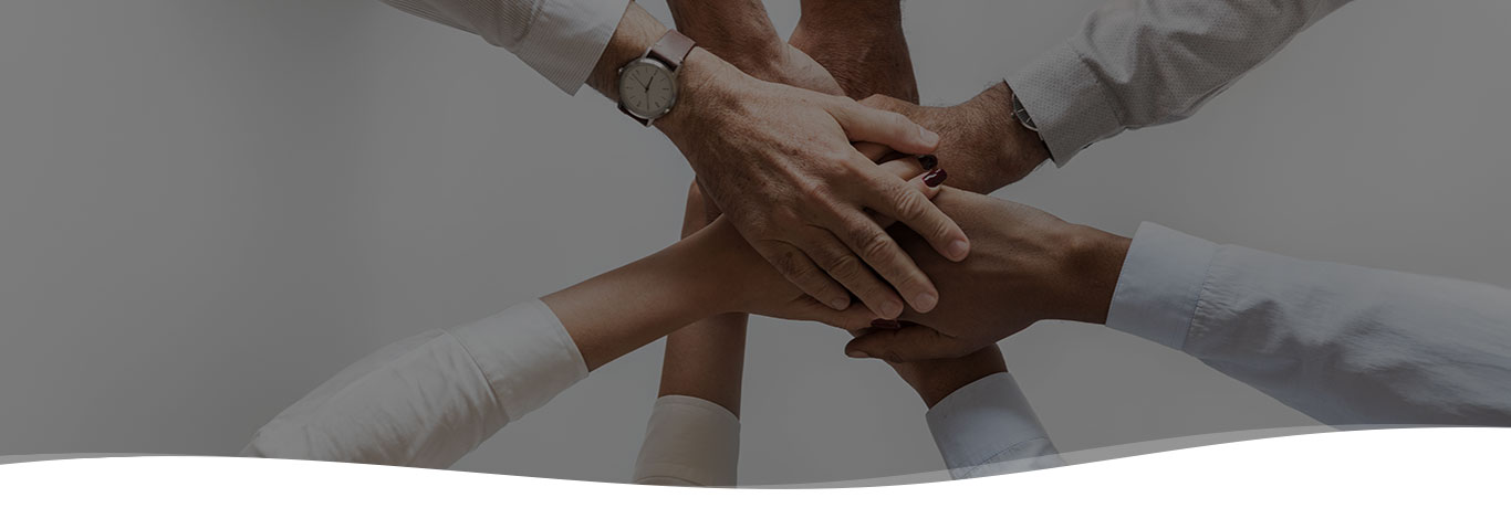 Our Team – Bugworks